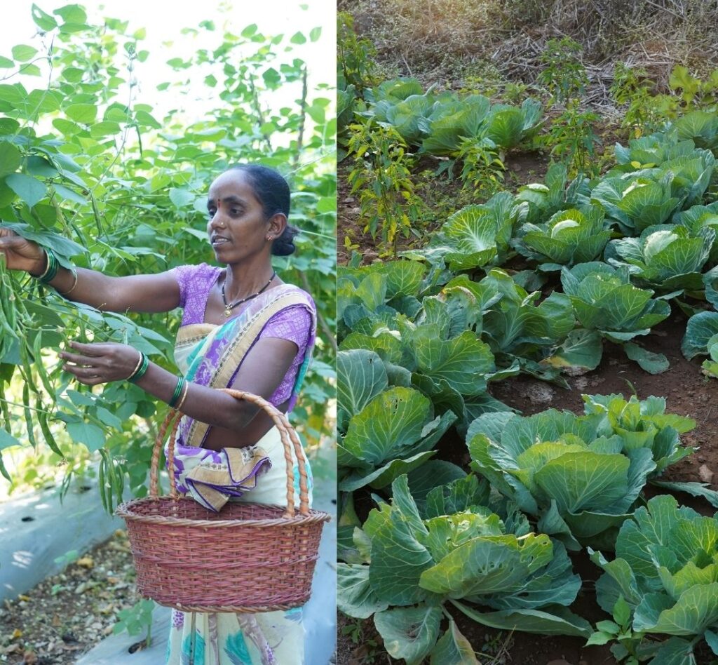 IRDP | Rural Livelihood & Rural Development Course in India